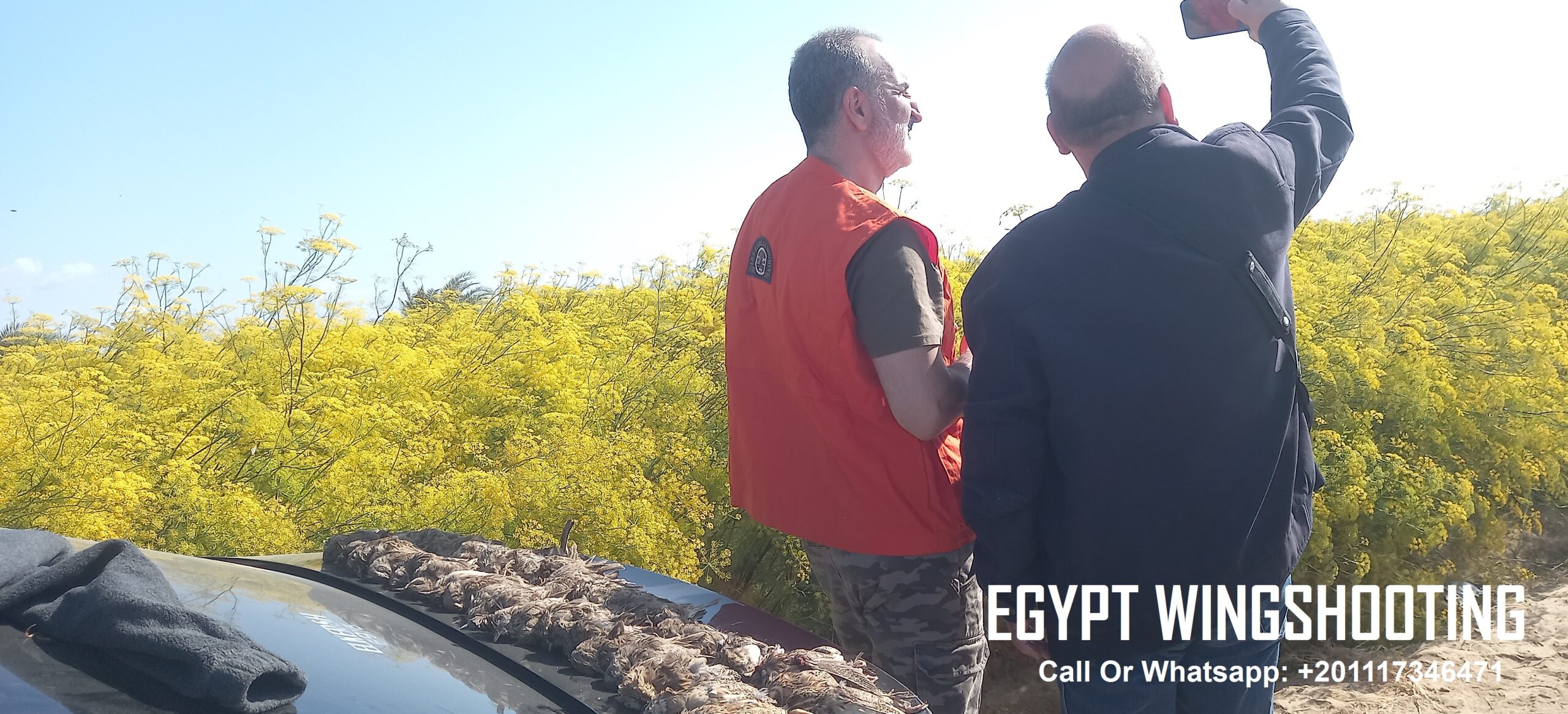 Quail Hunting In Egypt - ShootMart